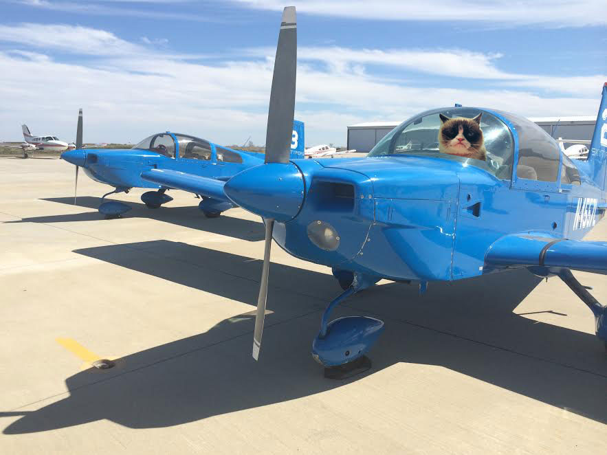 AirSign Flies Grumpy Cat Banner Over SXSW - Airsign Aerial Advertising